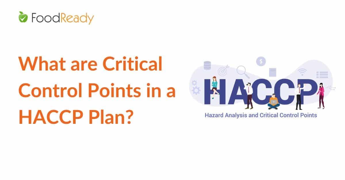 What are Critical Control Points in a HACCP Plan? - FoodReady